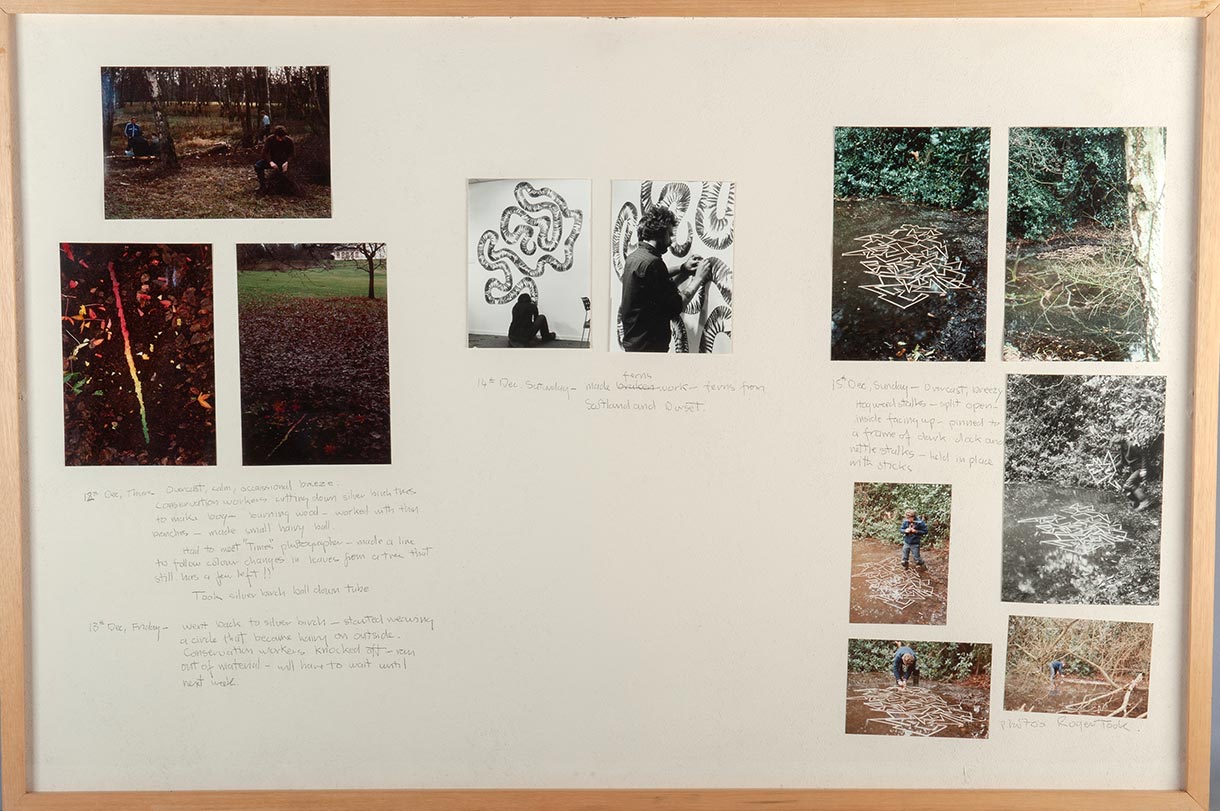 DORSET PAVILION at VENCIE BIENNALE 2024